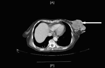 Internet Scientific Publications